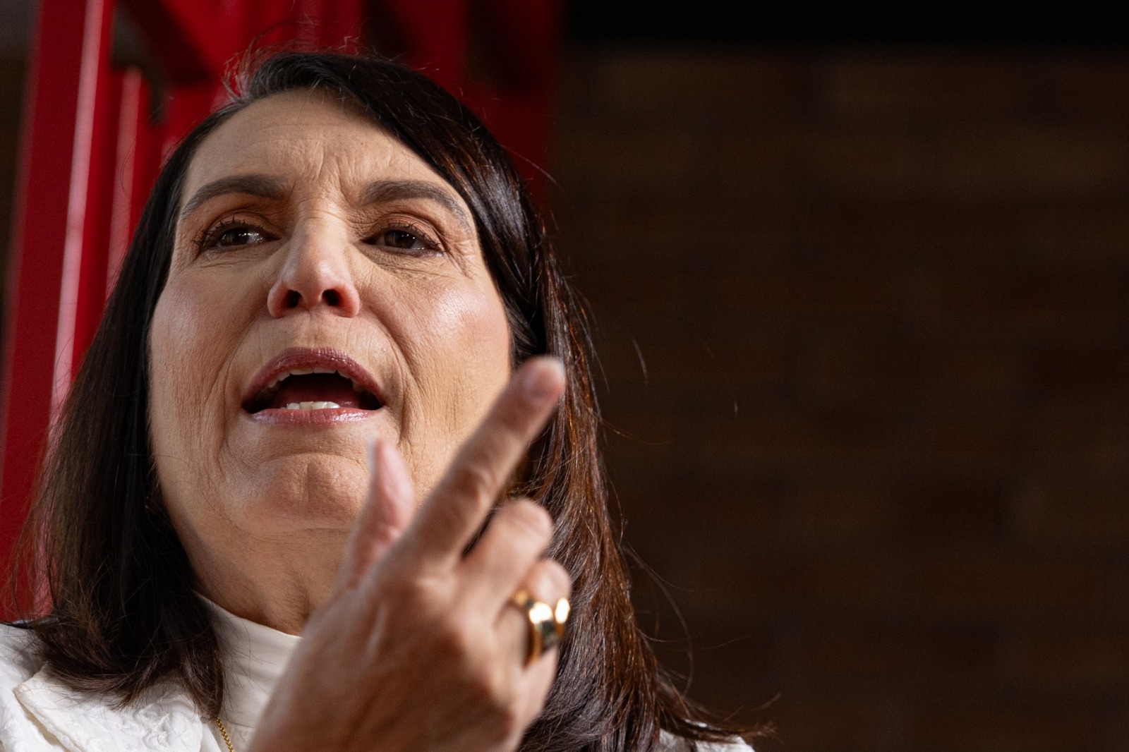 Bia Kicis diz que PL vai apoiar Celina Leão para governo do DF