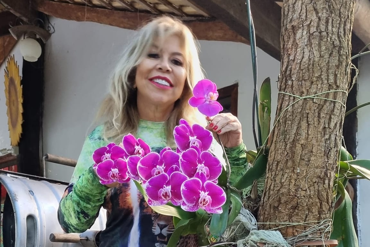 Quem era Lauristela Guimarães, jornalista que morreu após câncer grave