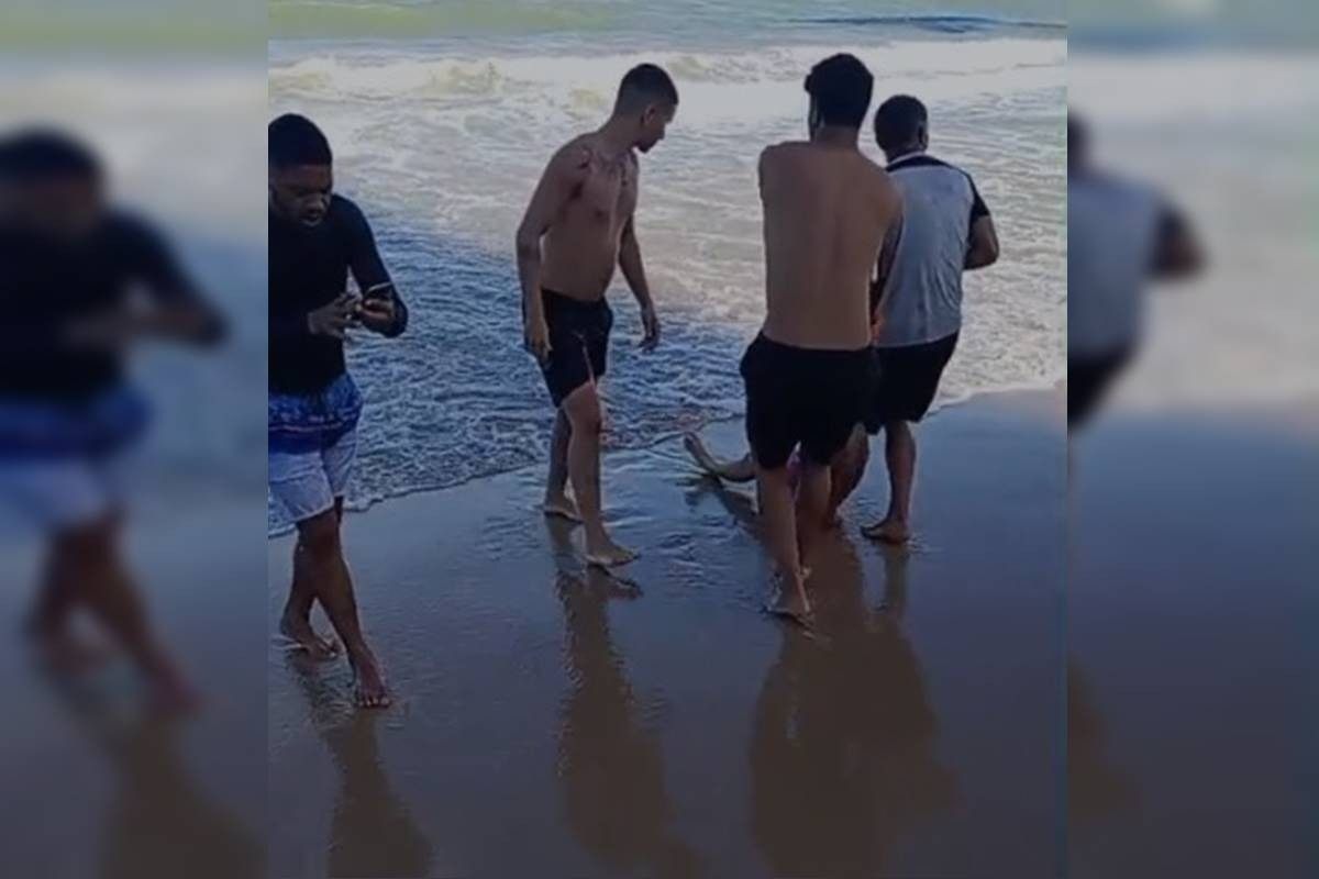 Vídeo mostra socorro de banhista que teve perna arrancada por tubarão